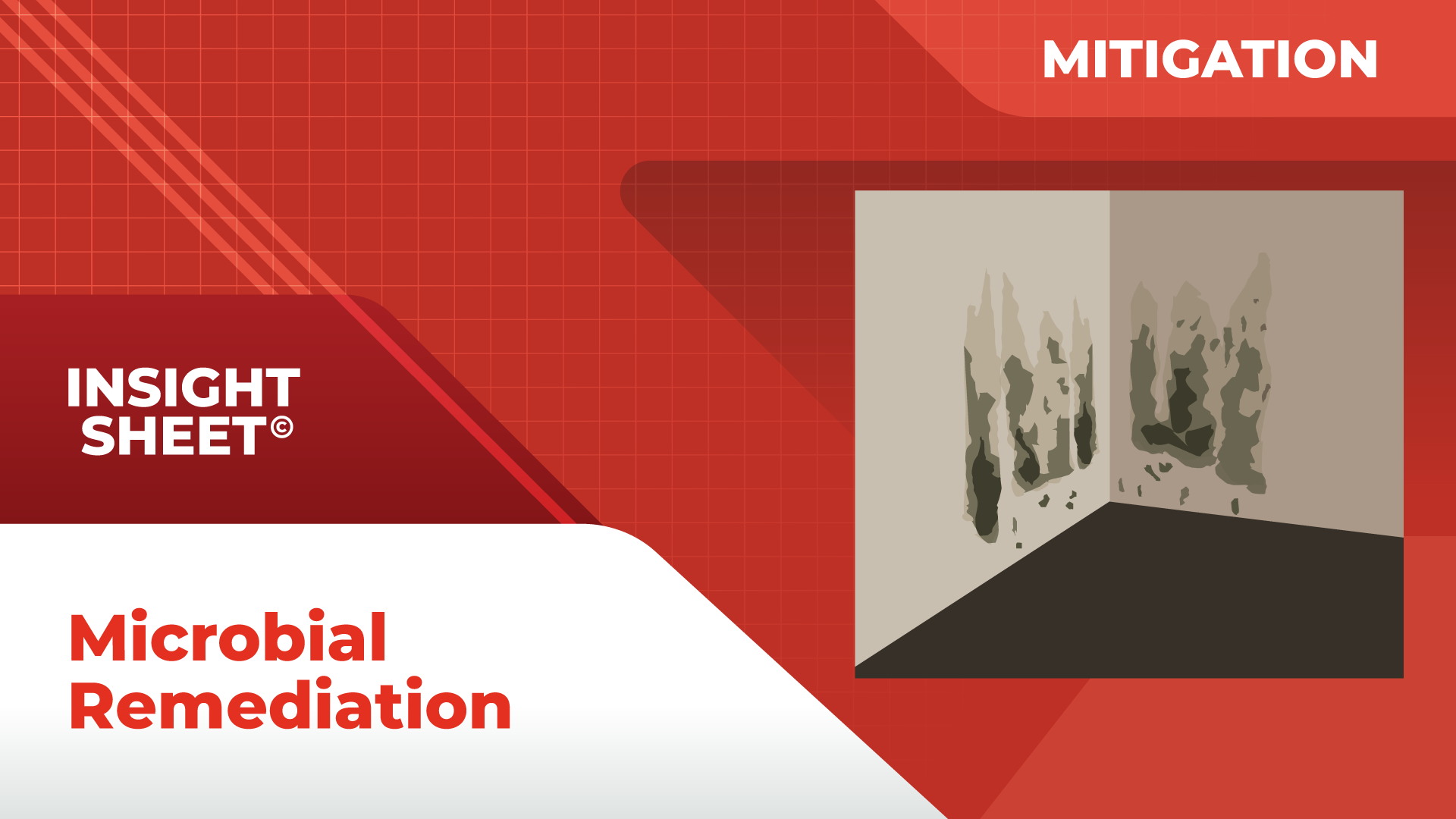 Microbial Remediation